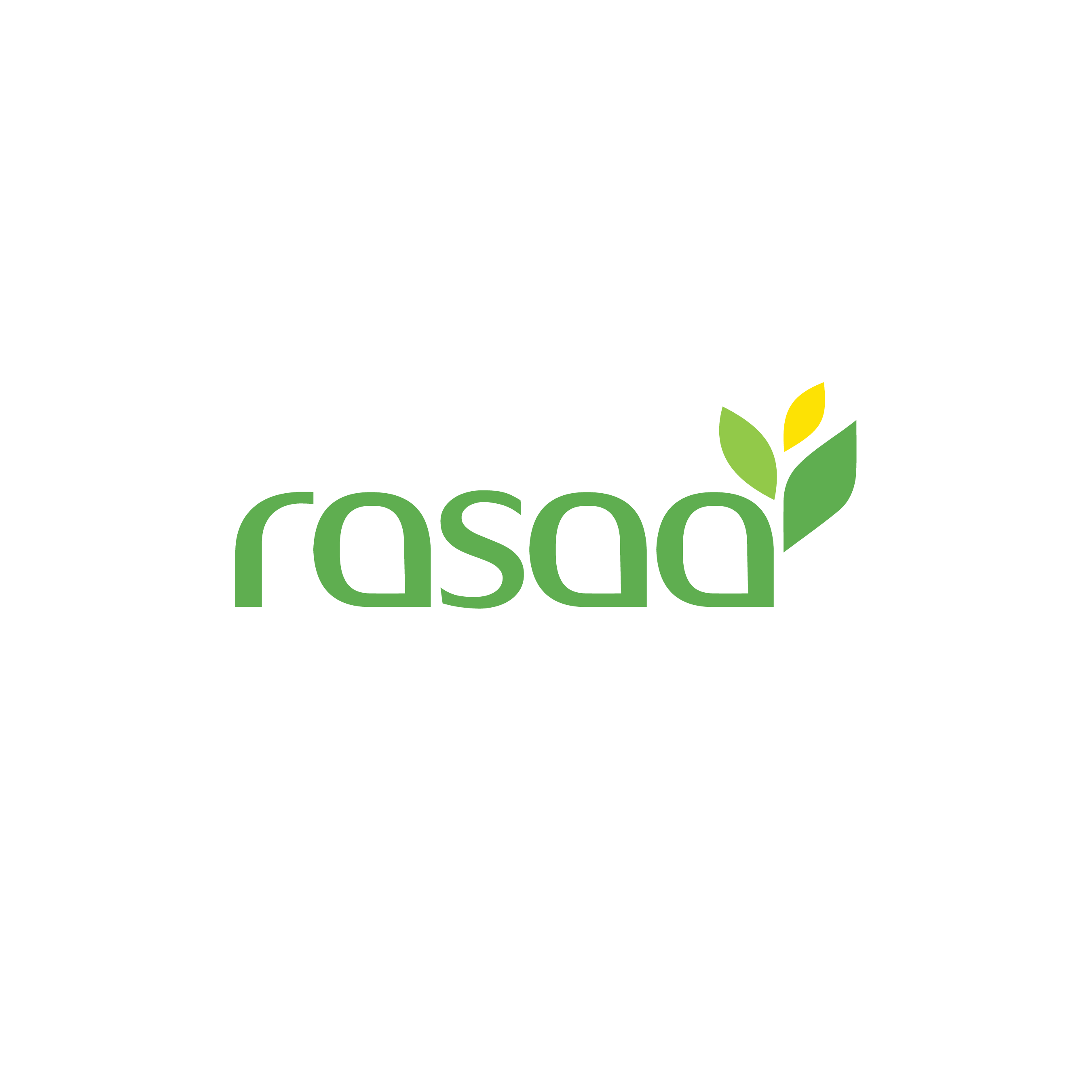 Rasaa Foods Professional Website